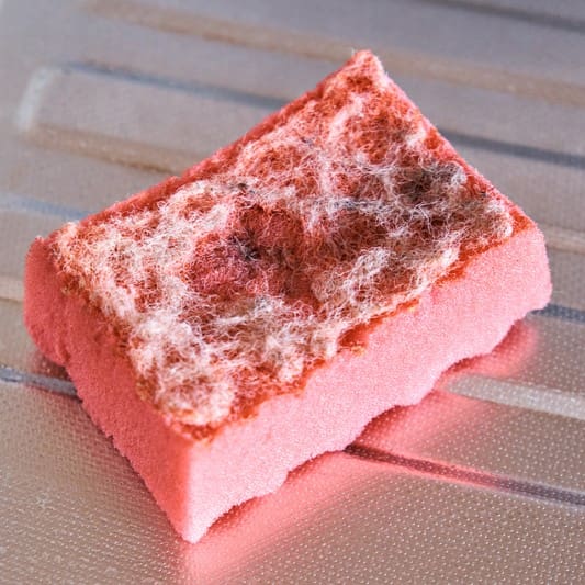 The Hidden Hazard in Your Kitchen Sponge