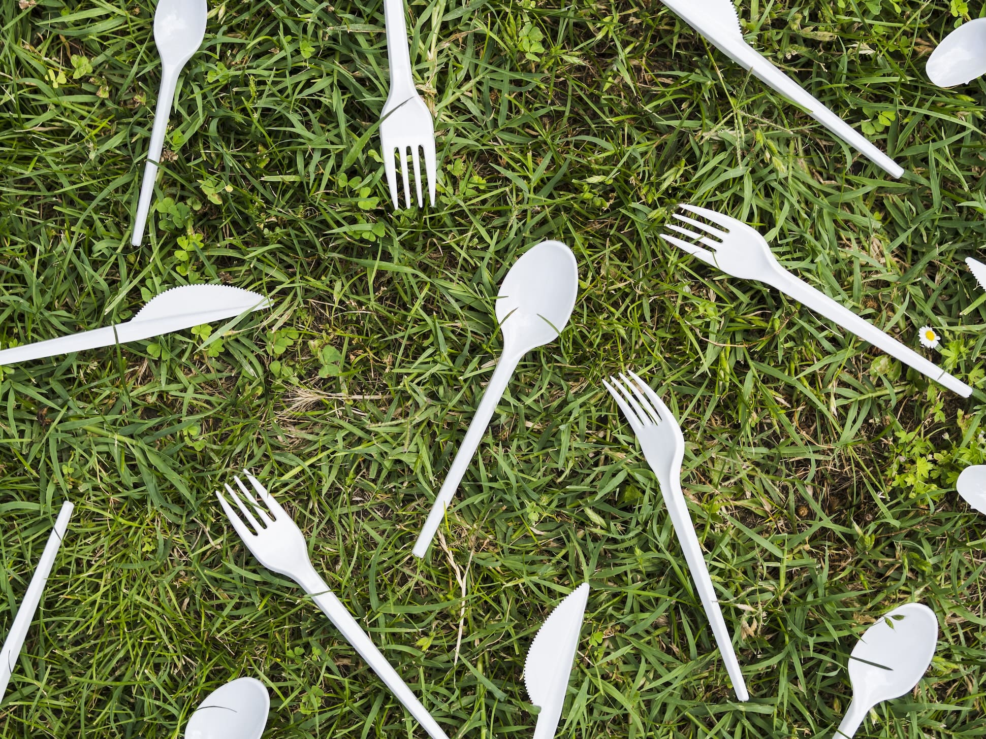 Here's Why People Are Sticking Plastic Forks in Their Yards